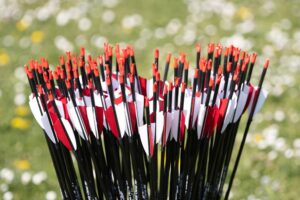 Comment choisir ses flèches au tir à l'arc : guide pour précision et ...